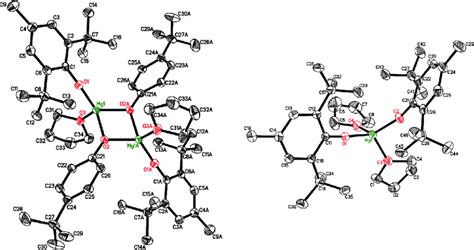 Molecular Structures Of Bhtmgμ Oc 6 H 4 Tert Buthf 2 4 Left