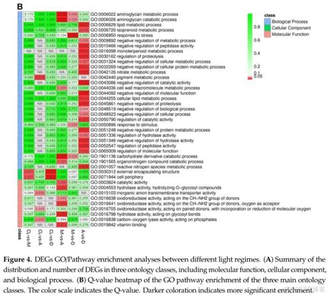 R语言ggplot2绘制热图展示go富集分析结果的简单小例子wx6221d9080e88d的技术博客51cto博客 R语言ggplot2绘制热图展示go富集分析结果的简单小例子wx6221d9080e88d的技术博客51cto博客