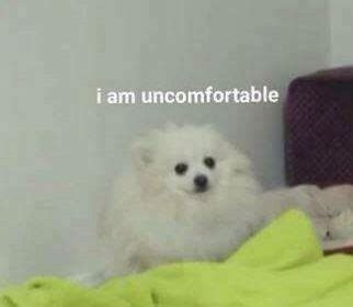 I Am Uncomfortable Blank Template Imgflip