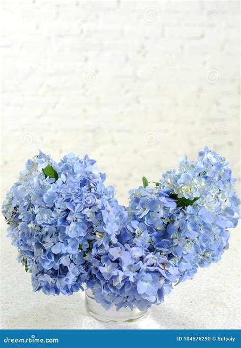 Flor Roxa Foto De Stock Imagem De Buquê Flor Nave 104576290