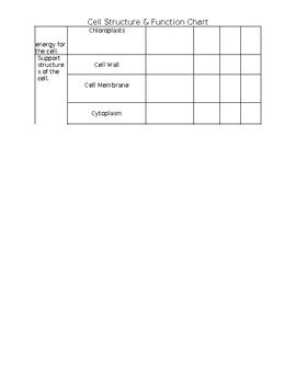 Cell Structure Function Chart By Bio TPT