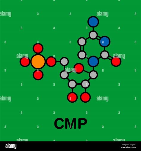 Cmp Structure Hi Res Stock Photography And Images Alamy