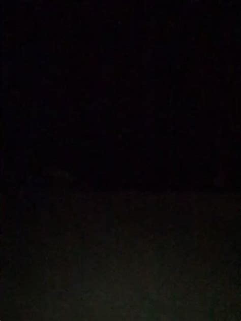 Rosalind Codrington On Linkedin Discover The Other Life Forms I Provide Quality Videos And