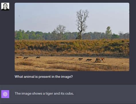 Comparing Multimodal Models Llava Vs Gpt 4 Encord