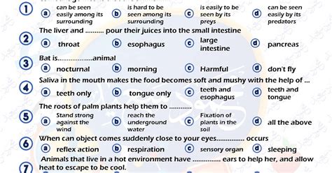 بنك اسئلة المتميز ساينس الصف الرابع اكتوبر 2022 Science P4 Oct Test