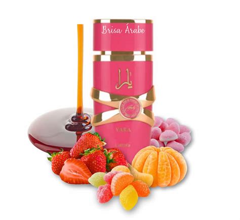 · Yara Candy Lattafa · Brisa Arabe · Perfumes Arabes