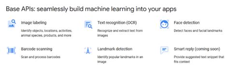 Ml Kit And Face Detection In Flutter Flattered With Flutter