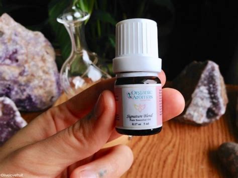 Nebulizing Diffusers Versus Ultrasonic Diffusers Which Is Better