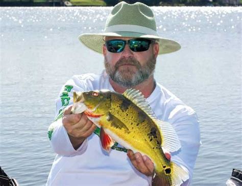 Peacock Bass Floridas Best Kept Secret Coastal Angler And The Angler