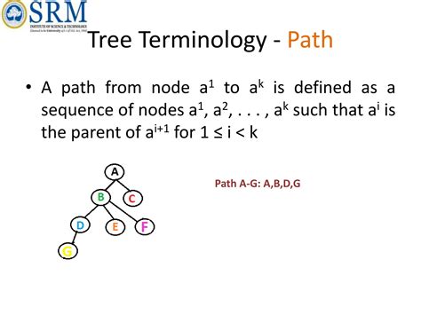 Unit For Trees Data Structure Notes It Is PPTX Unit For Trees Data Structure Notes It Is PPTX