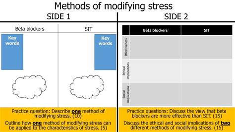 Biological Explanations Of Stress Ppt Download