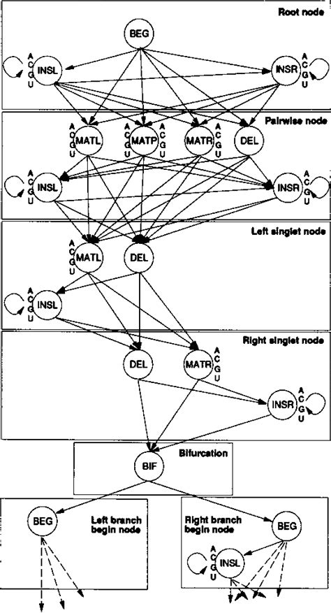 Figure 1 From Rna Sequence Analysis Using Covariance Models Semantic