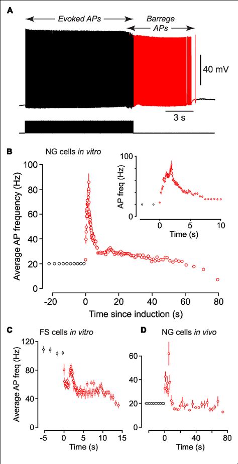Regulation Of Action Potential Firing Pattern Semantic Scholar