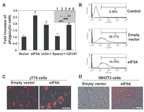 Functional Validation Of The Genes Selected By The Method A D Download Scientific Diagram