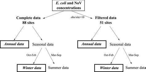 Overview Of The Data Filtering And Structure Download Scientific
