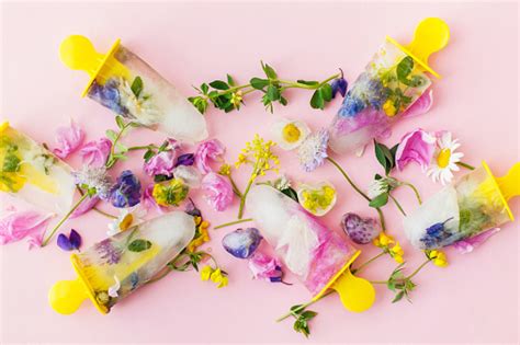 꽃 얼음 팝 분홍색 배경 플랫 평지와 신선한 여름 꽃에 얼어 붙은 아이스캔디와 얼음 조각의 다채로운 야생화 공간을 복사합니다 안녕하세요 여름 개념 크리에이티브 브라이트