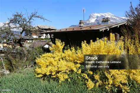 포시티아 뒤에 숨겨진 산 별장 영어 알프스 생 제르바이 레 뱅 오트 사부아 오베르뉴 론 알프스 프랑스 0명에 대한 스톡 사진 및