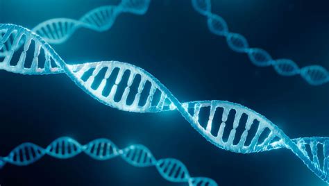 Les Révélations De Ladn France Culture