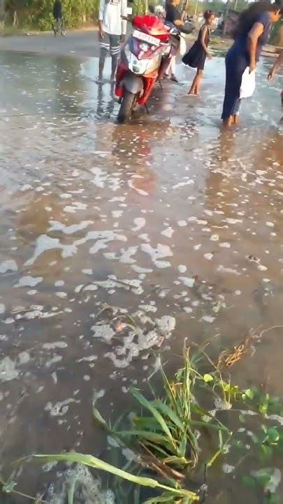 හලාවත මාදම්පේ තොඩුවාව මුහුද ගොඩගලයි 😑😑😑 Youtube