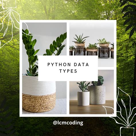 Lakhi Charan Mahato On Linkedin Python Programming Machinelearning