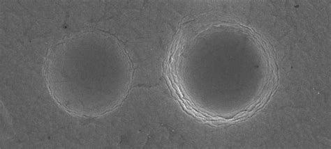 Sem Images Showing The Residual Indentations Of The Vertically Aligned Download Scientific