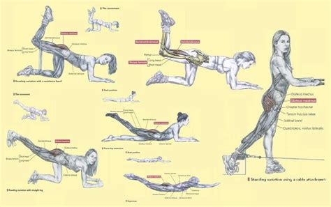 Exercises To Build Lift And Sculpt An Amazing Butt • Bodybuilding Wizard