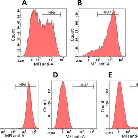 The Relationship Between Abo Genotypes Abo Expresser Phenotypes And