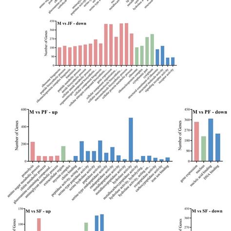 QPCR Results Of Differentially Expressed Genes Related To Male Biased Download Scientific