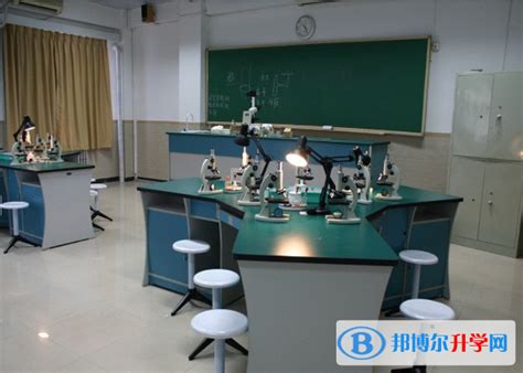 北京第八中学网站网址