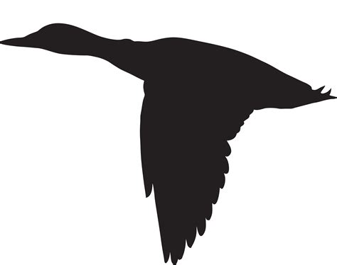 Ducks Flying Silhouette Png