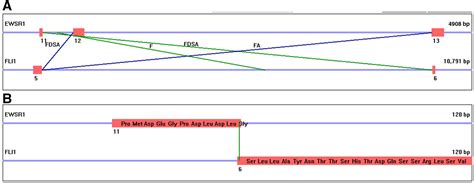 A New Exome Capture Based Rna Sequencing Assay For Genome Wide