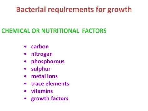 Bacterial Nutrient Microbiology 2024pdf