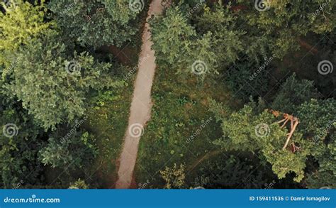 Aerial View Of Drone Flying Over A Path Of Green Forest Stock Footage