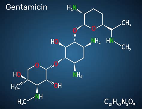 Gentamicin Level Pathology Tests Explained