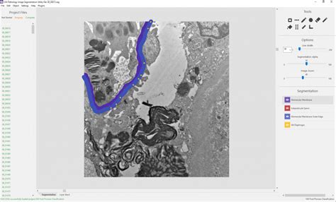 Uw Segmentation Utility Setup Windows Lab Najafian