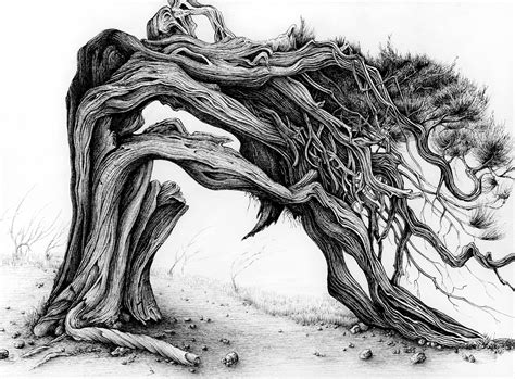 Tree Love On Behance