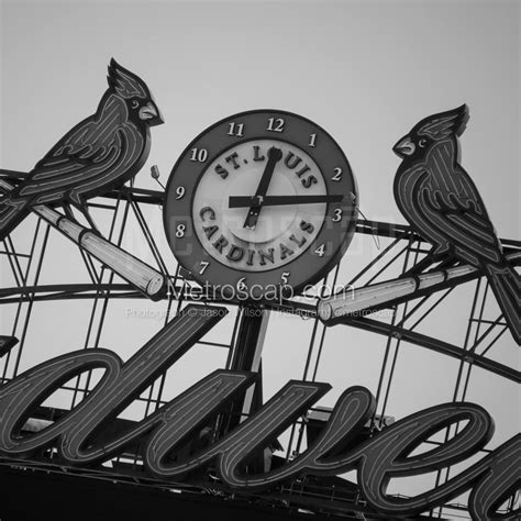 Cardinals Logo Black And White
