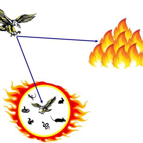 Schematic Presentation Of The Fire Hawks Position Updating Process In Download Scientific