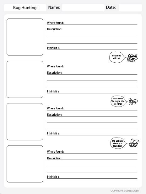 Observation Recording Sheet Studyladder Interactive Learning Games