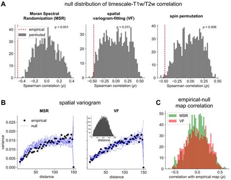 Figures And Data In Neuronal Timescales Are Functionally Dynamic And Shaped By Cortical