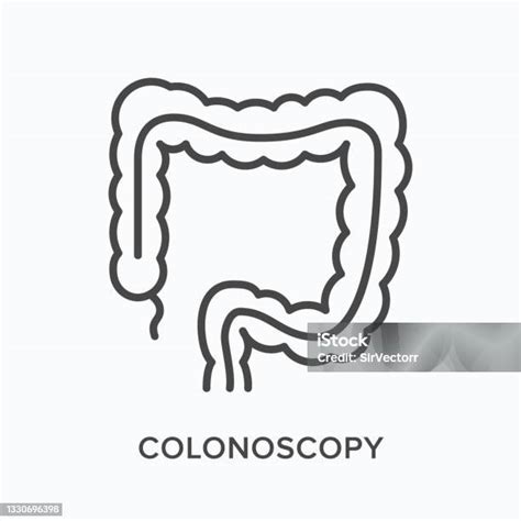 대장 내시경 평면 선 아이콘 소화 시스템의 벡터 개요 그림 내시경 연구를 위한 검정 얇은 선형 픽토그램 대장내시경에 대한 스톡 벡터 아트 및 기타 이미지 Istock