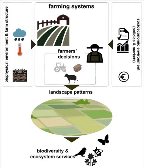 Conceptual Framework Of The Fs Approach Linking Agricultural Policies