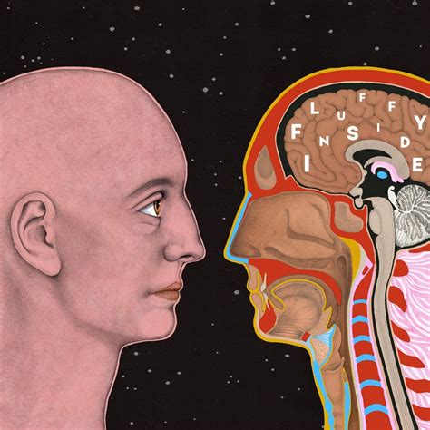 Rz24 Fluffy Inside Insanity Storage Unit Fluffy Inside