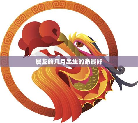 属龙的几月出生的命最好揭秘龙年宝宝的黄金出生月份