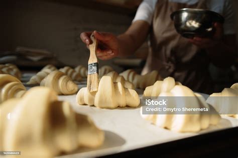 여성 베이커는 노른자에 브러시로 생 크로와상을 묻히고 요리 과정 35 39세에 대한 스톡 사진 및 기타 이미지 35 39세 건강한 생활방식 계란 노른자 Istock