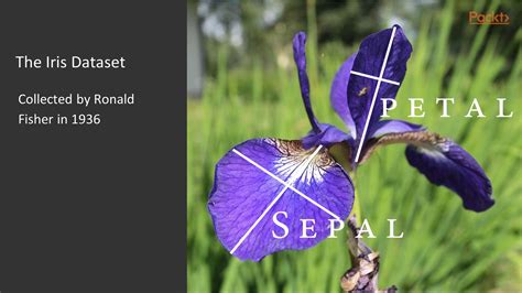 Learning Neural Networks With Tensorflow The Iris Dataset Youtube