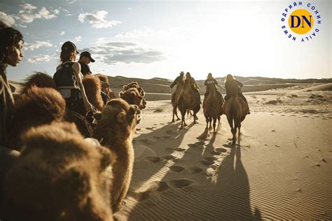 Жуулчин тээврийн зөвшөөрөл авахад бүрдүүлэх баримт бичиг Dnn Mn
