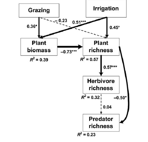 Final Model Results Of Structural Equation Modelling Sem Analysis