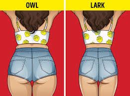 Healthy Life The Secret Way To Make The Waist Slimtopbuzzy