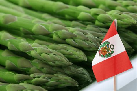 Espárrago Peruano Impresionante Aumento En Europa